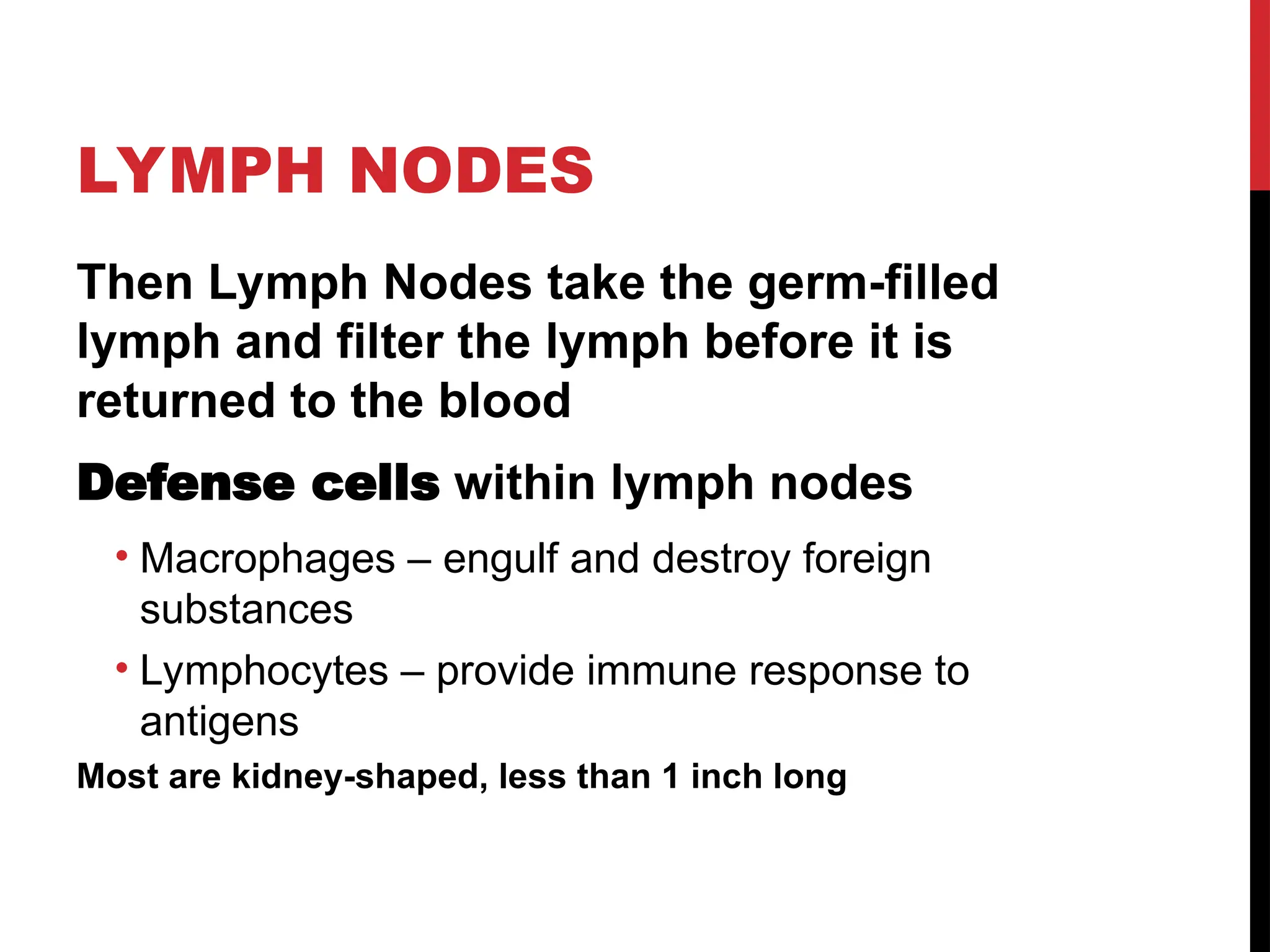 Lymphathic System of the Human anatomy.ppt