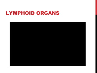 Lymphathic System of the Human anatomy.ppt