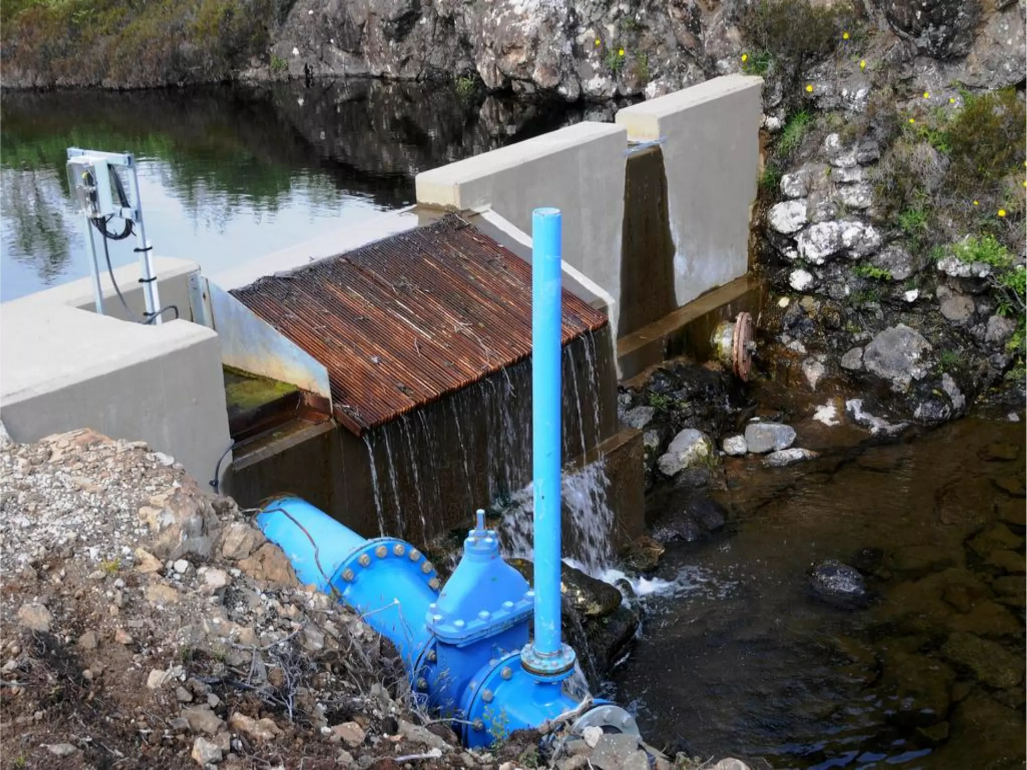 Island of eigg - Green island in miniature (slike) | PDF