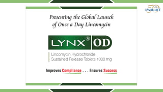 Lynx_OD_CME_Slides.pptx