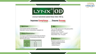 Lynx_OD_CME_Slides.pptx
