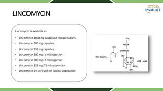 Lynx_OD_CME_Slides.pptx