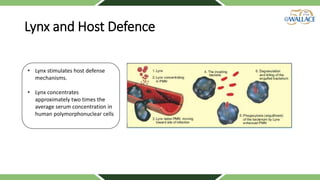 Lynx_OD_CME_Slides.pptx
