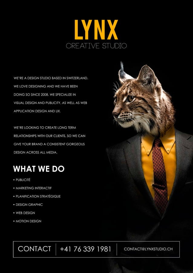Lynx studio publicite | PDF
