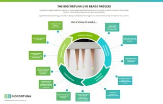 LyoBead-Process-Biofortuna.pdf