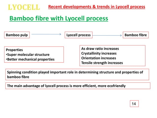 Lyocell fiber | PPTX | Needlework | Arts and Crafts