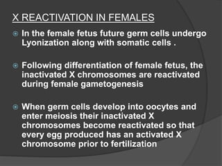 Lyon hypothesis-X-inactivation-mosaic formation | PPTX