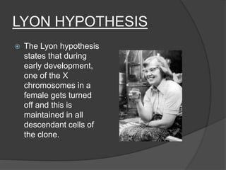 Lyon hypothesis-X-inactivation-mosaic formation | PPTX