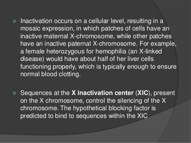 lyonhypothesis-150515234119-lva1-app6891 (1).pptx