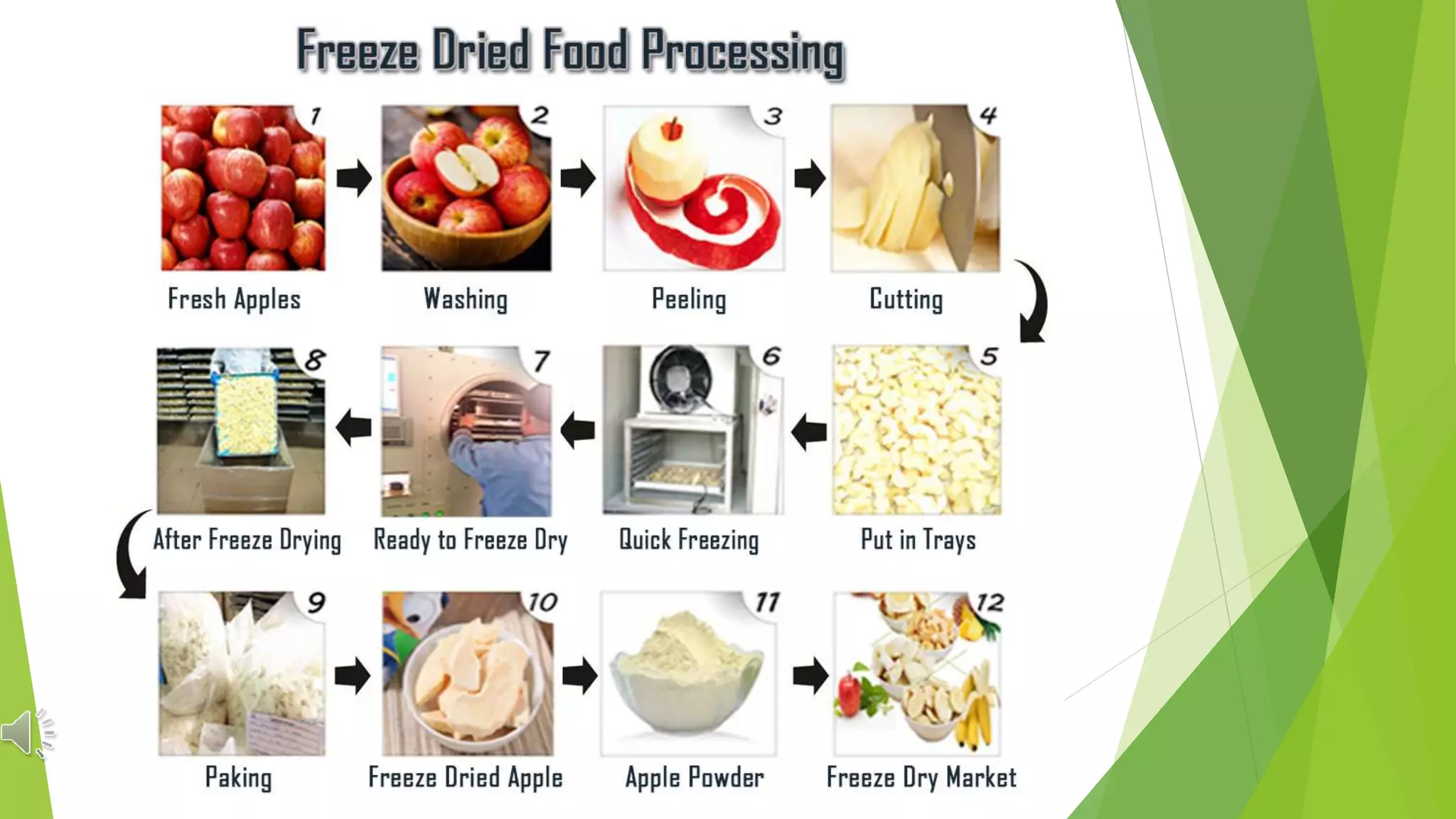 Lyophilisation | Freeze drying | Cryodesication | Stages of ...