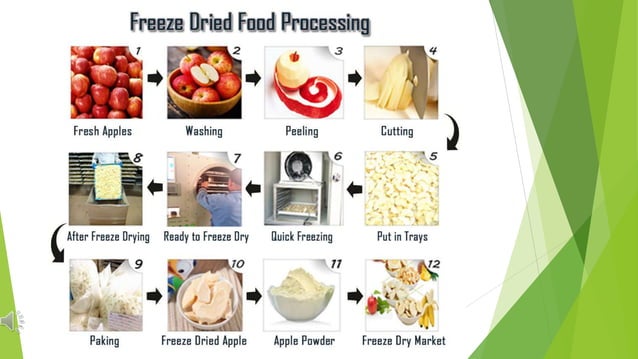 Lyophilisation | Freeze drying | Cryodesication | Stages of ...