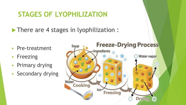 Lyophilisation | Freeze drying | Cryodesication | Stages of ...