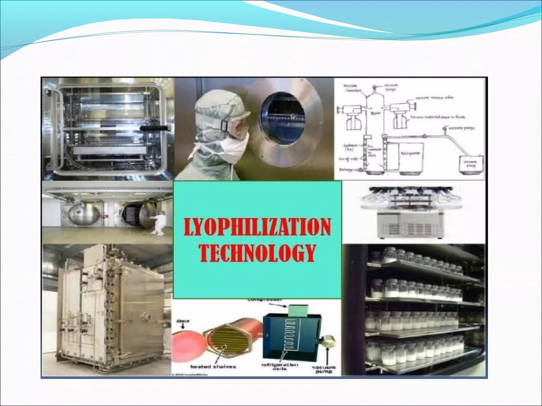 Lyophilization | PPT