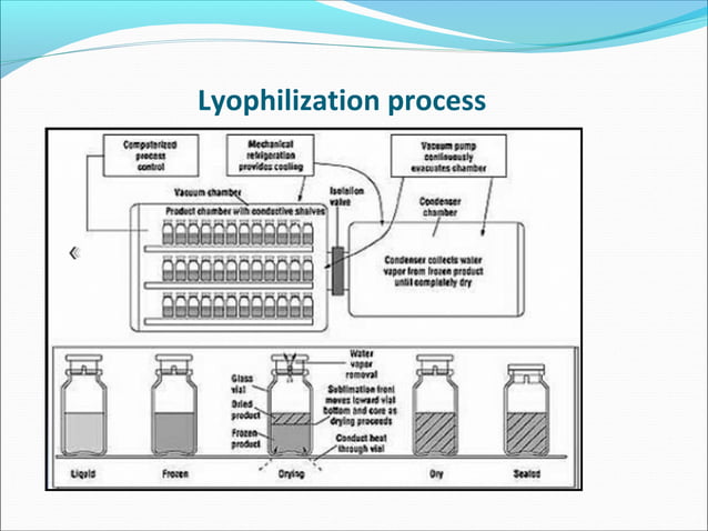 Lyophilization | PPT | Chemistry | Science