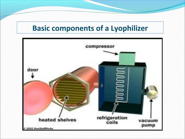 Lyophilization | PPT | Chemistry | Science