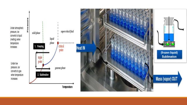 Lyophilization | PPTX