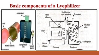 Lyophilization | PPTX