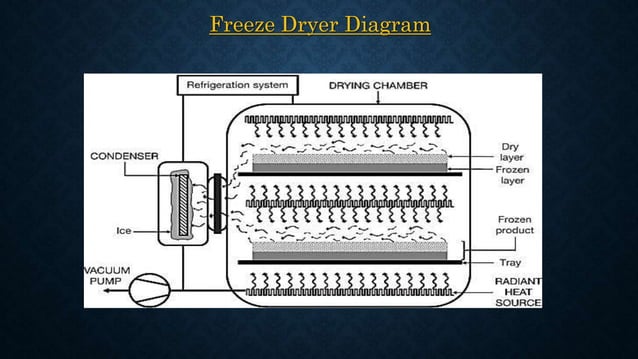 lyophilization, freeze drying.pptx | Chemistry | Science