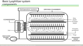 Lyophilization | PPTX