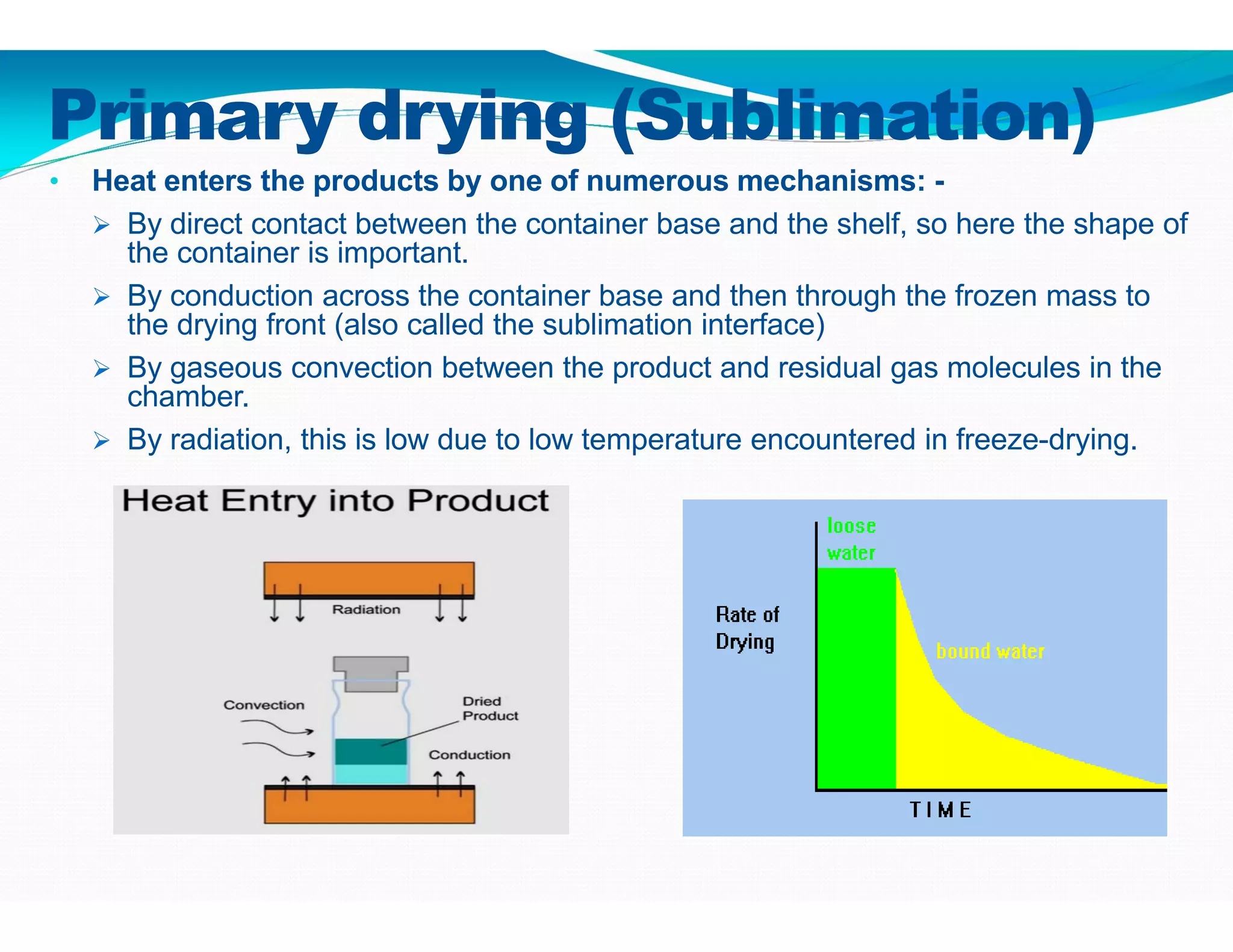 Lyophilization process | PDF