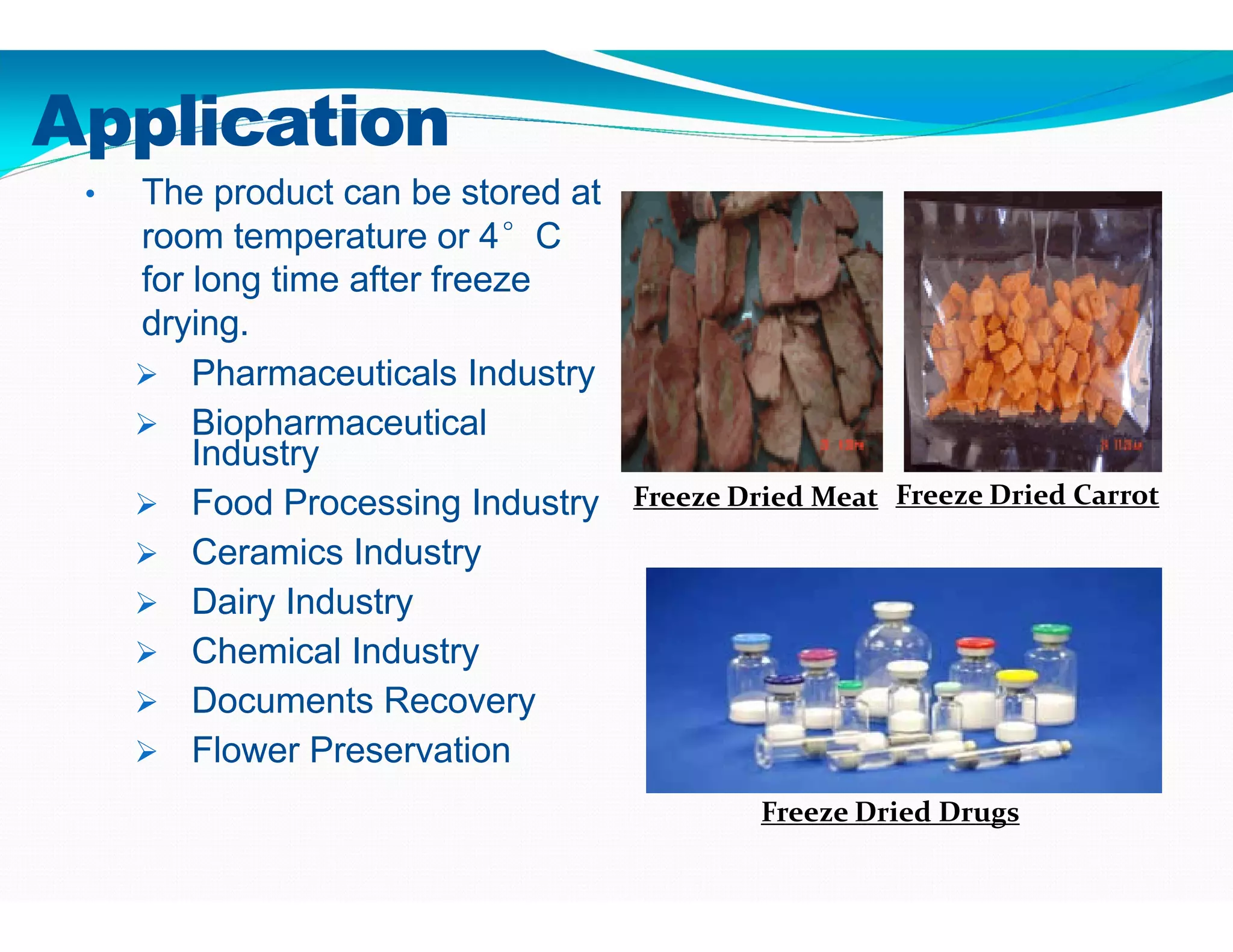 Lyophilization process | PDF