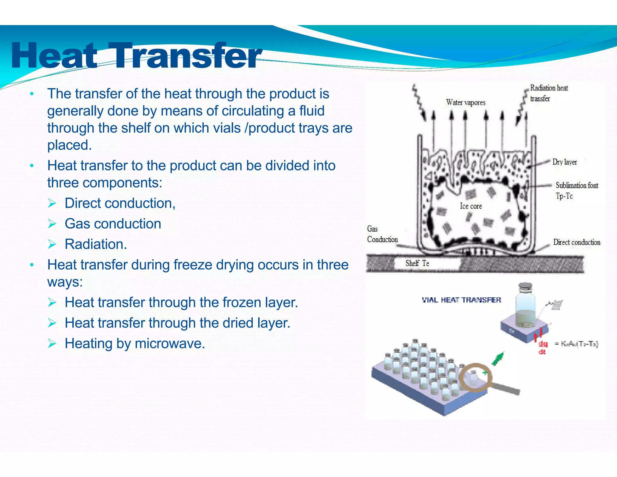 Lyophilization process | PDF