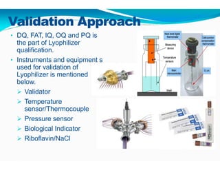 Lyophilization process | PDF
