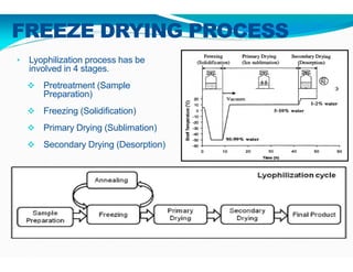 Lyophilization process | PDF