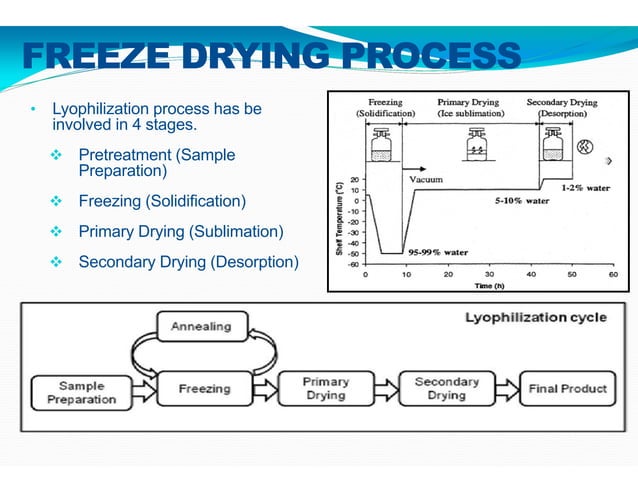 Lyophilization process | PDF | Chemistry | Science