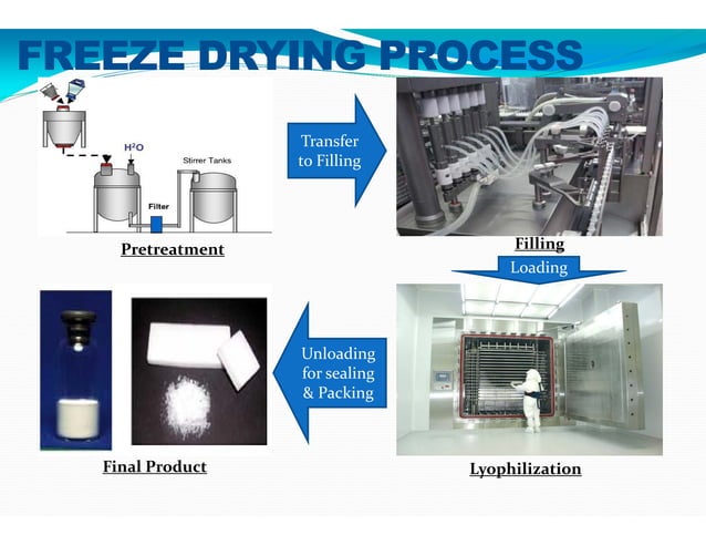 Lyophilization process