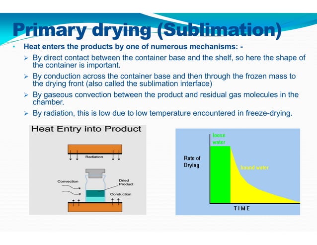 Lyophilization process