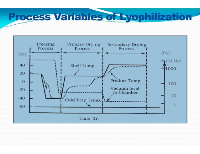 Lyophilization process