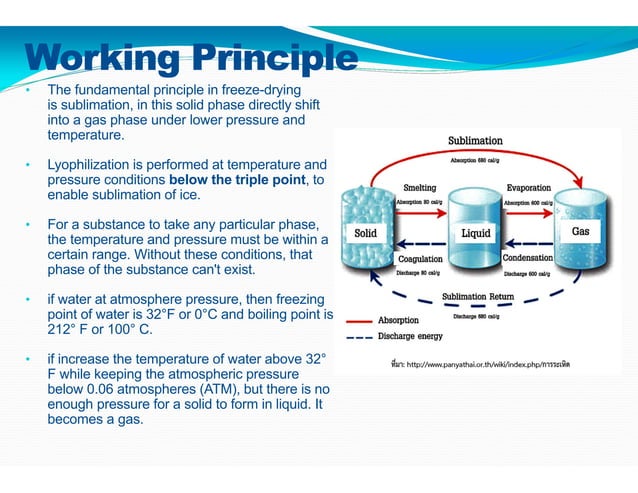 Lyophilization process