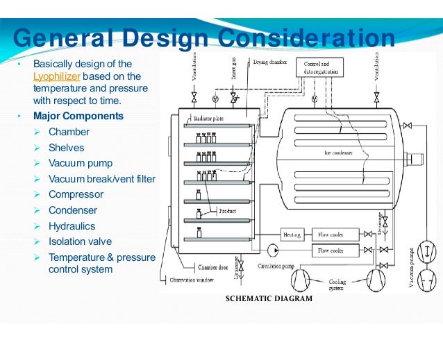 Lyophilization process