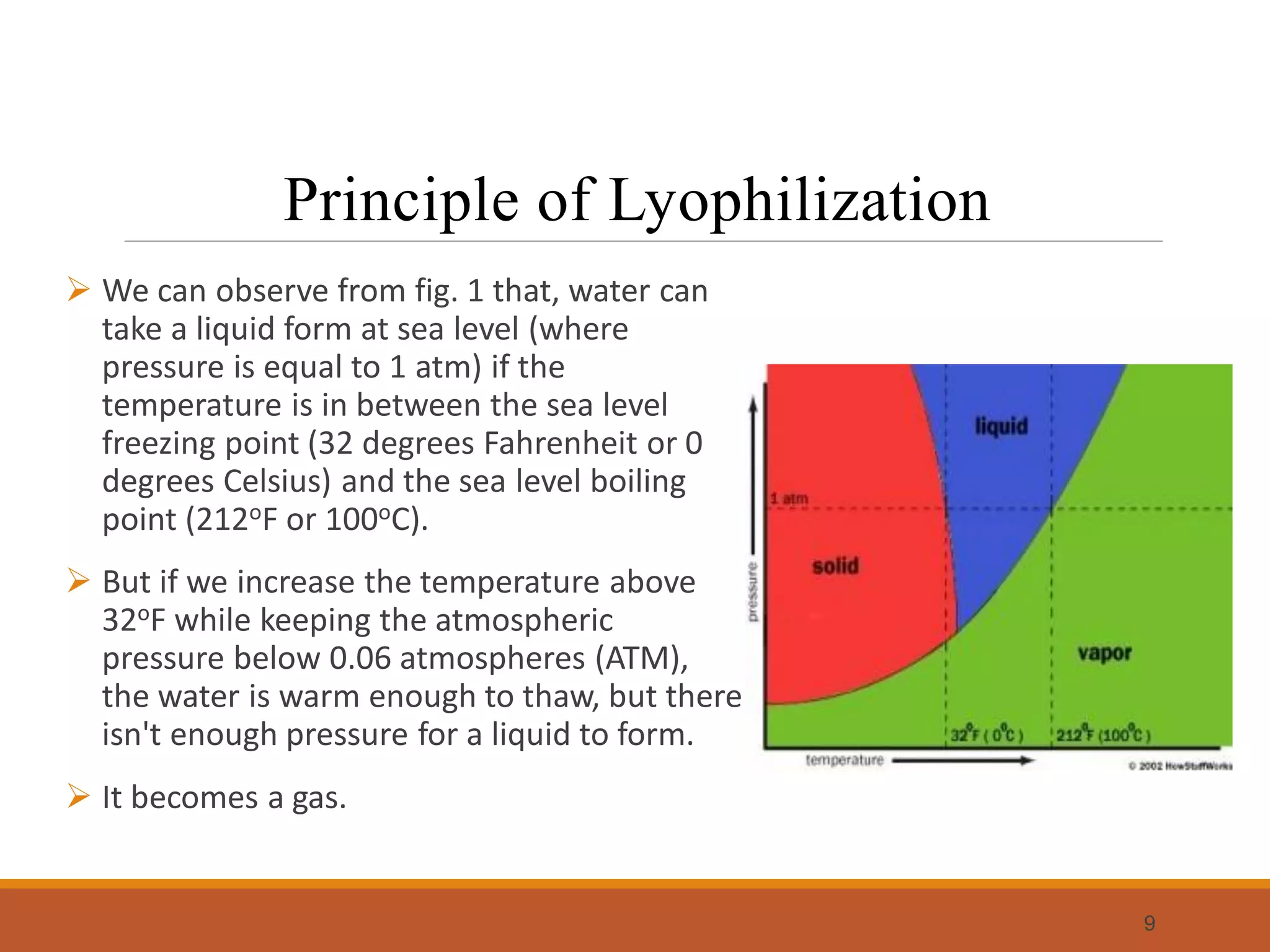 Lyophillization | PDF
