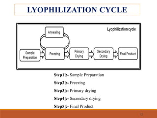 Lyophillization | PDF