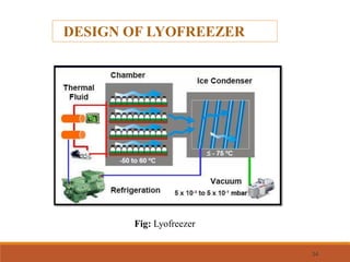 Lyophillization | PDF