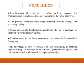 Lyophillization | PDF