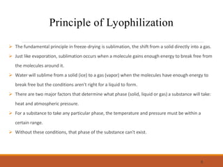 Lyophillization | PDF