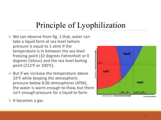 Lyophillization | PDF