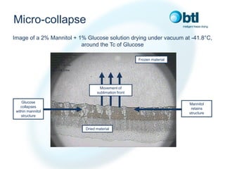 Lyostat3 An introduction to Freeze Drying Microscopes | PDF