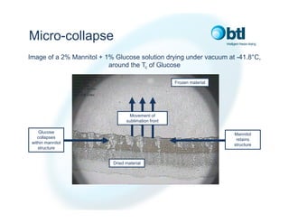Lyostat3 Freeze Drying Microscopy | PPT
