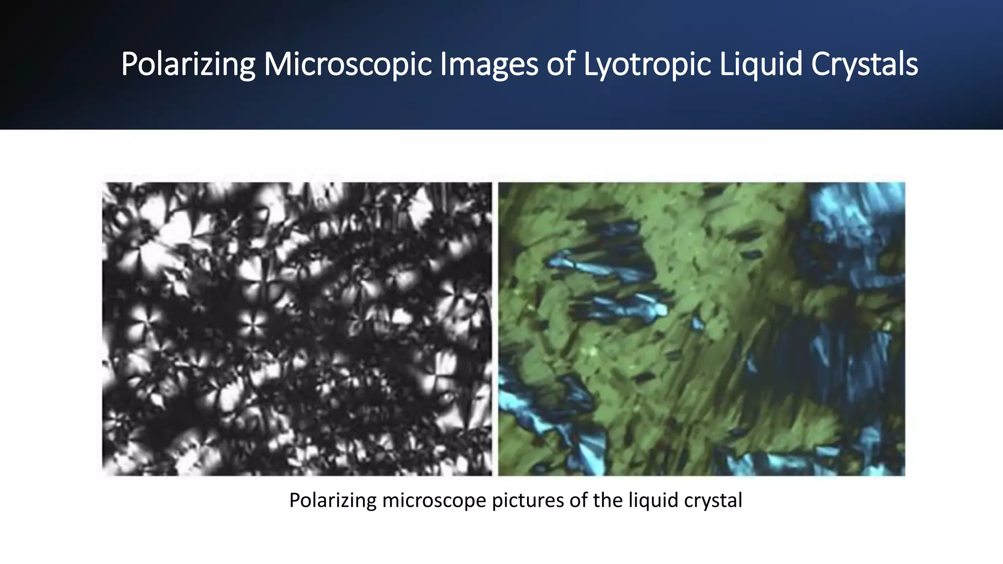 Lyotropic Liquid Crystal Nanoparticles - 2023.pdf