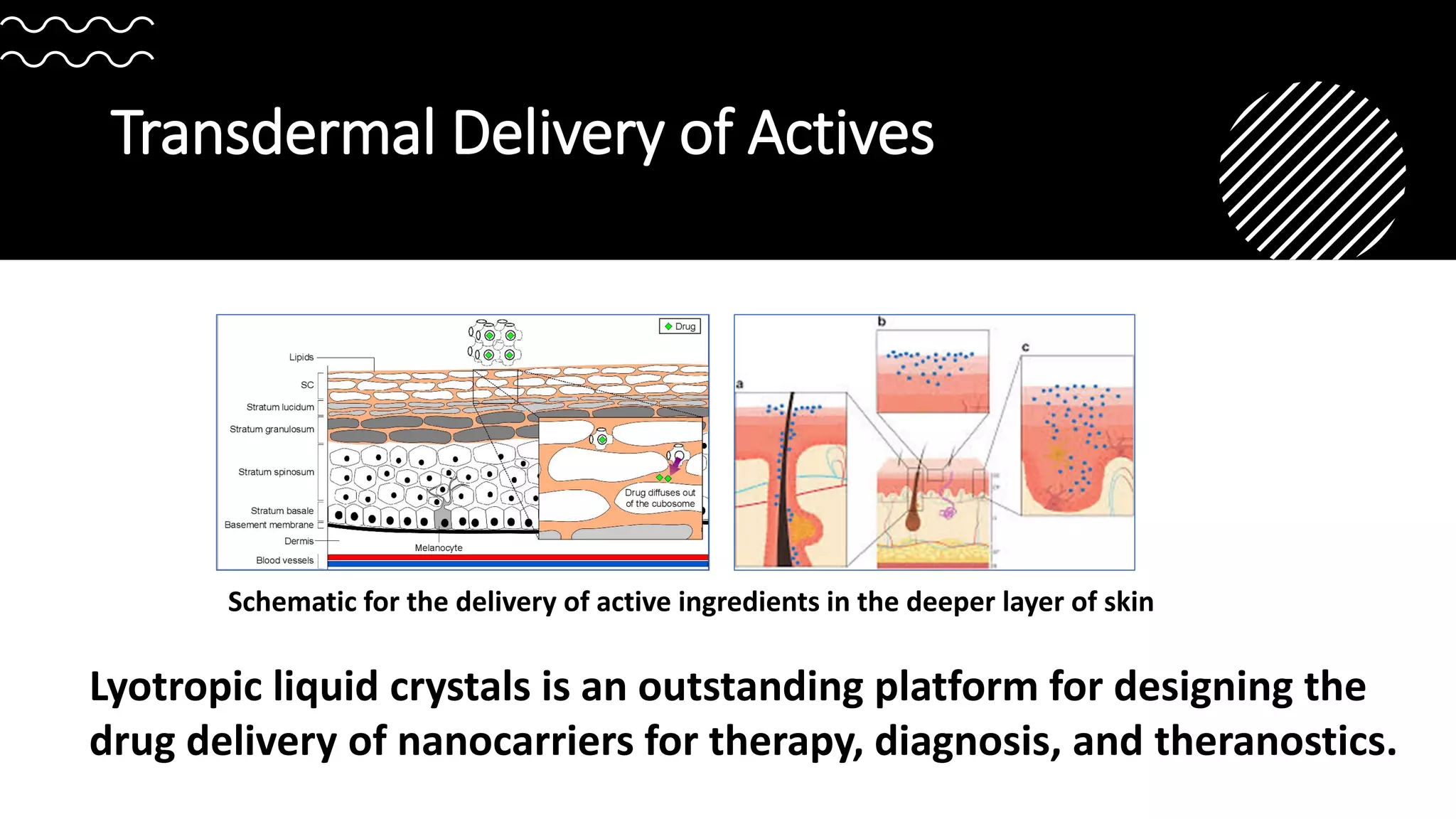 Lyotropic Liquid Crystal Nanoparticles - 2023.pdf
