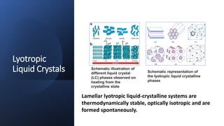 Lyotropic Liquid Crystal Nanoparticles - 2023.pdf
