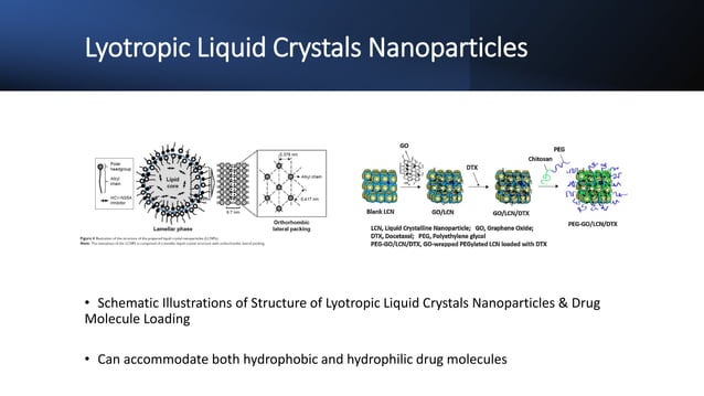 Lyotropic Liquid Crystal Nanoparticles - 2023.pdf