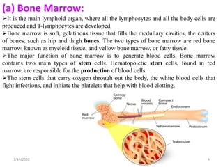 Lyphoid organs | PPT