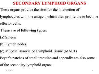 Lyphoid organs | PPT
