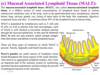 Lyphoid organs | PPT