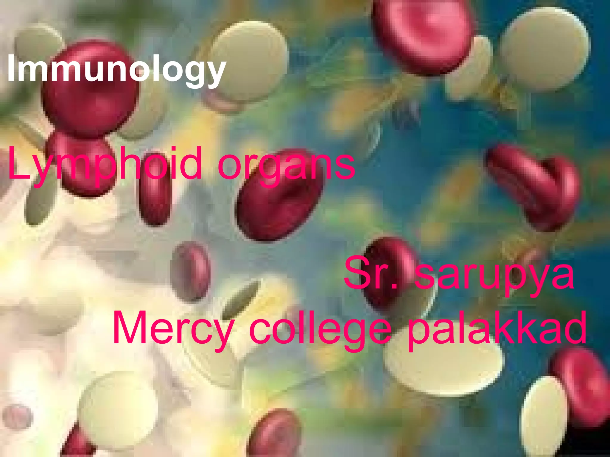 Lymphoid Organs Ppt Ppt